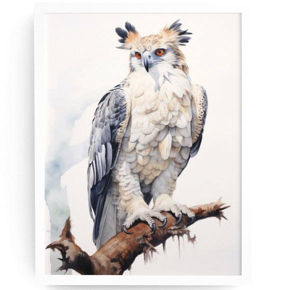 Creative Path Studios | Art | Watercolor Harpy Eagle Portrait Wall Art ...